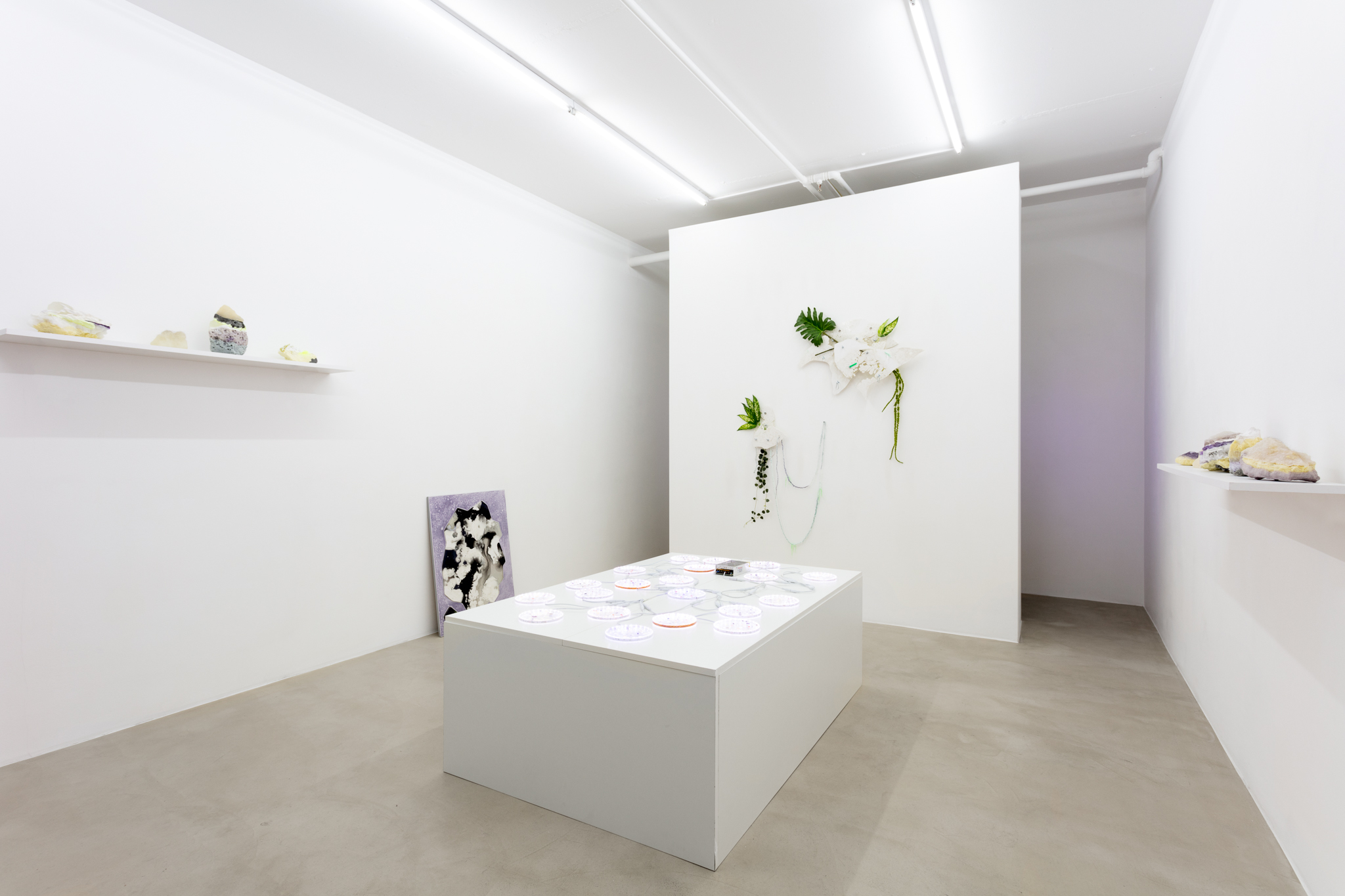 PHENOMENA ULTRA - Scandale Project - Andy Simon Studio