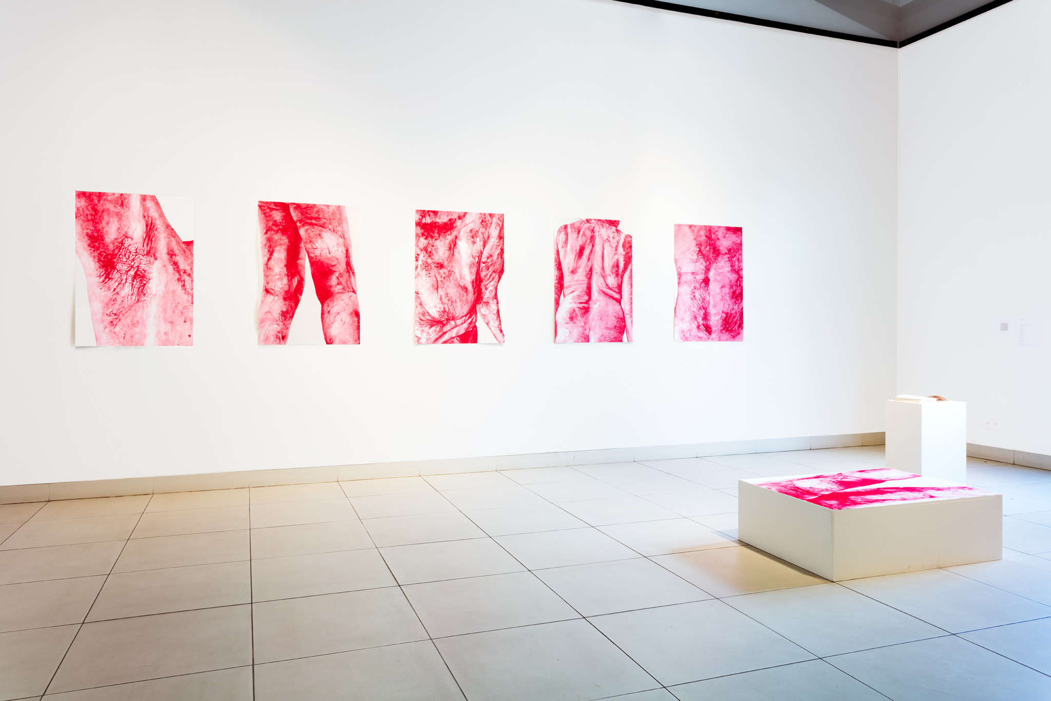 Prix du Hainaut 2022 - Andy Simon Studio